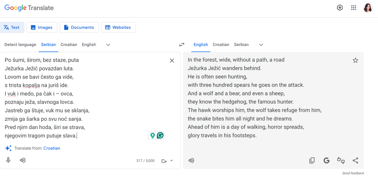 ChatGPT vs. machine translation: Which one should you choose?